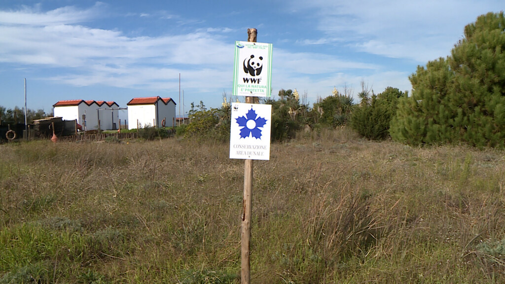Sarà ancora il WWF ad occuparsi dell'oasi delle Dune - NoiTV